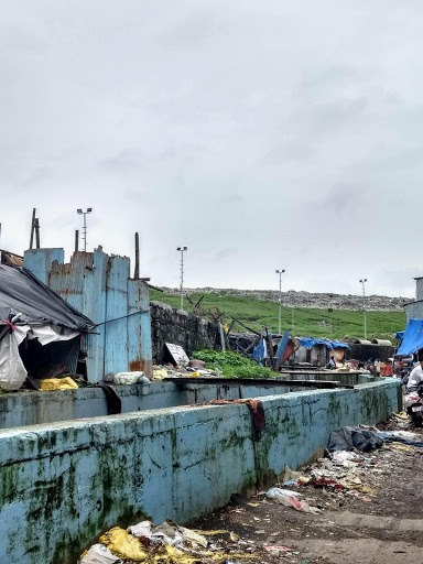 Deonar Dumping Ground - AID